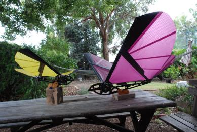 Helping Tutorial: Robsco RC Ornithopter-- Flying like Real Bird