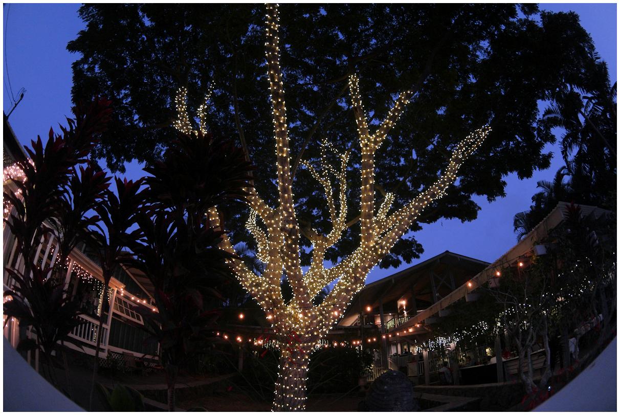 michikusa & aikalima 道草とアイカリーマ: Art After Dark - Holualoa Village