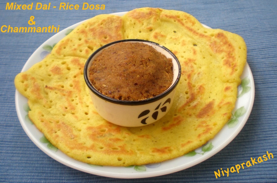 Niya's World: Thenga Chammanthi (Dry roasted coconut chutney)