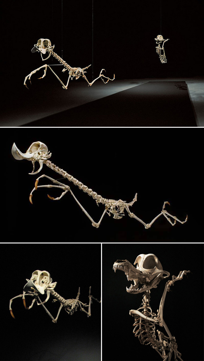The Feral Irishman Korean Artist Hyungkoo Lee Imagines What May Lie Beneath The Skins Of