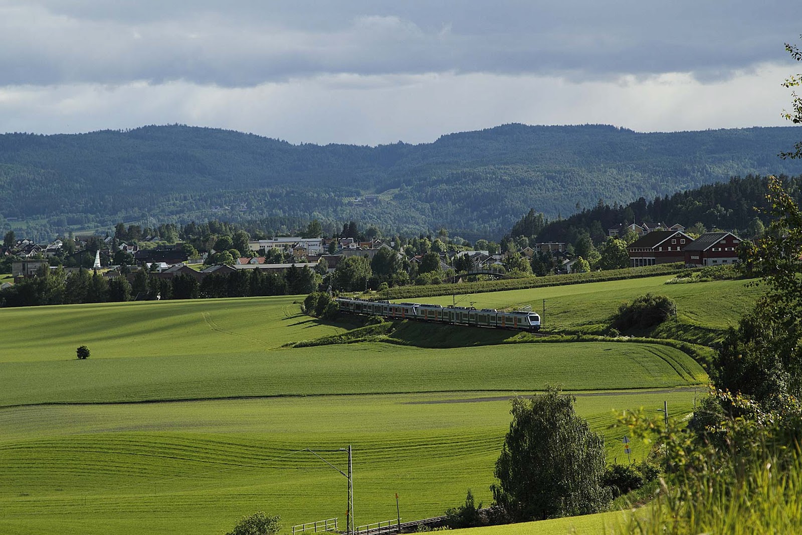 Skaumann: Kulturlandskap i Øvre Eiker mai-august 2012!