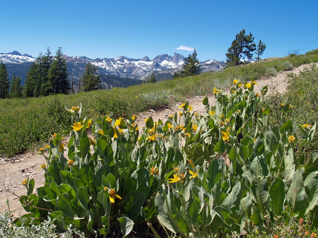 Open Air and Sunshine: Minaret Vista - Hiking Mammoth Lakes, CA