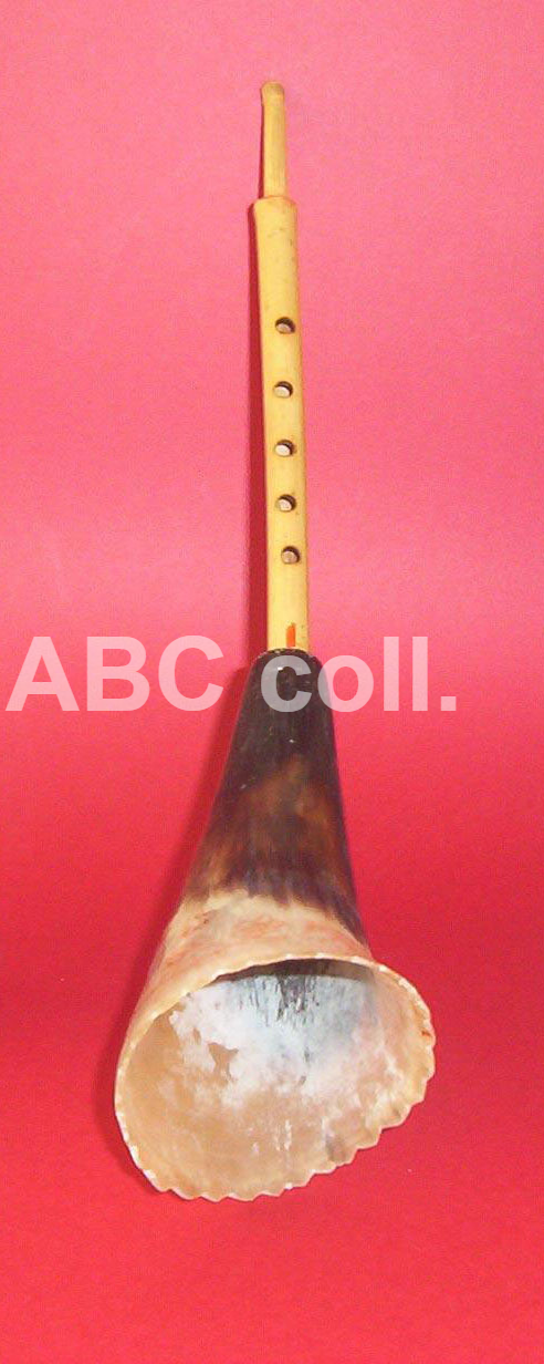 The Anna Borg Cardona Music Museum: HORNPIPE/QRAJNA