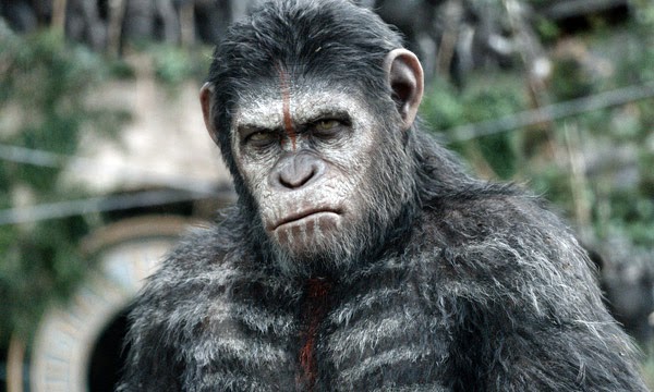 Sociarte: SIMIOS CONTRA HUMANOS