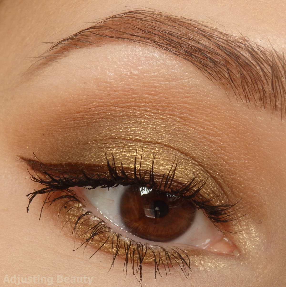 Sunlit Forest - Adjusting Beauty