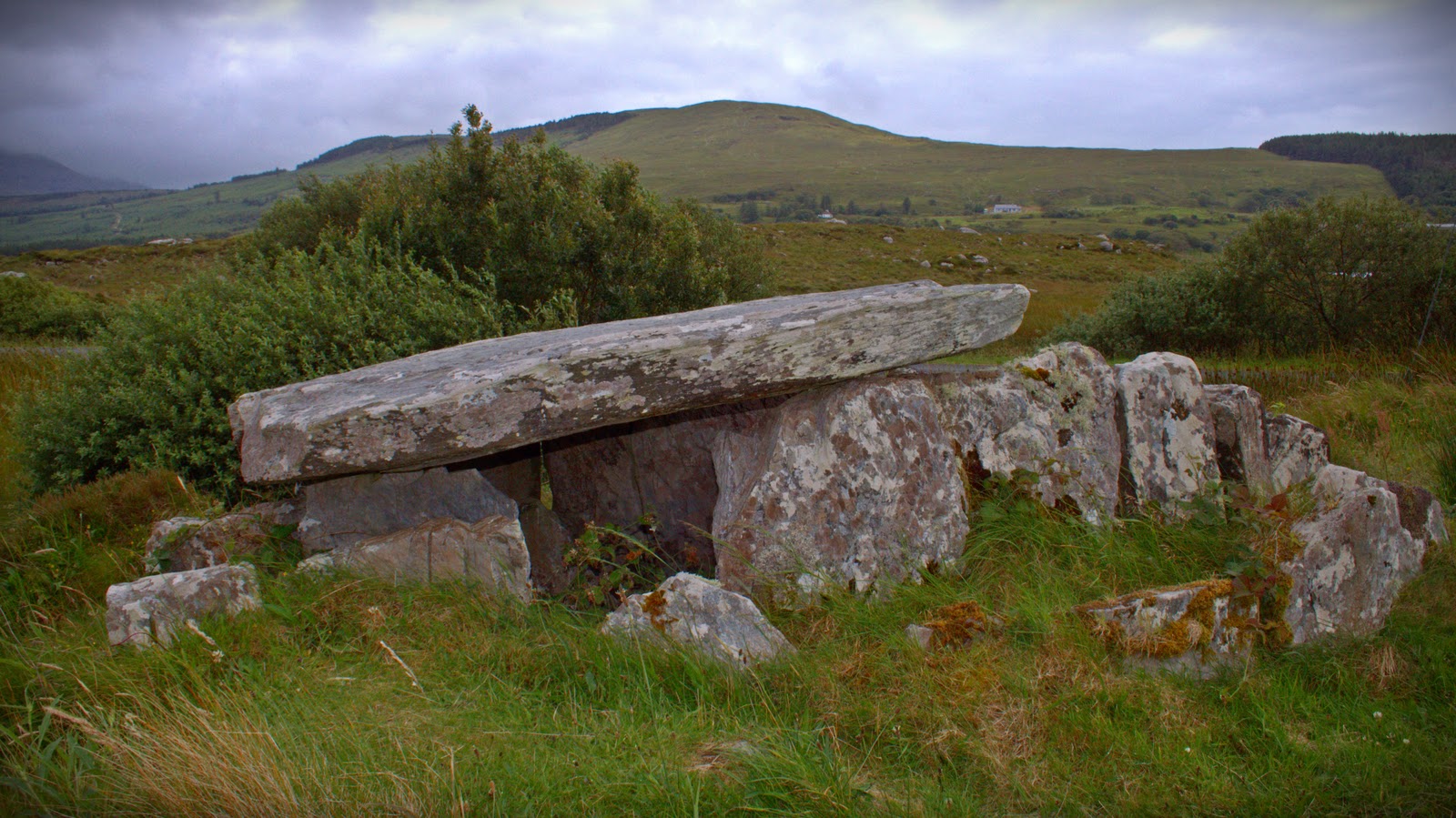 Historic Sites of Ireland: Srahwee Wedge Tomb