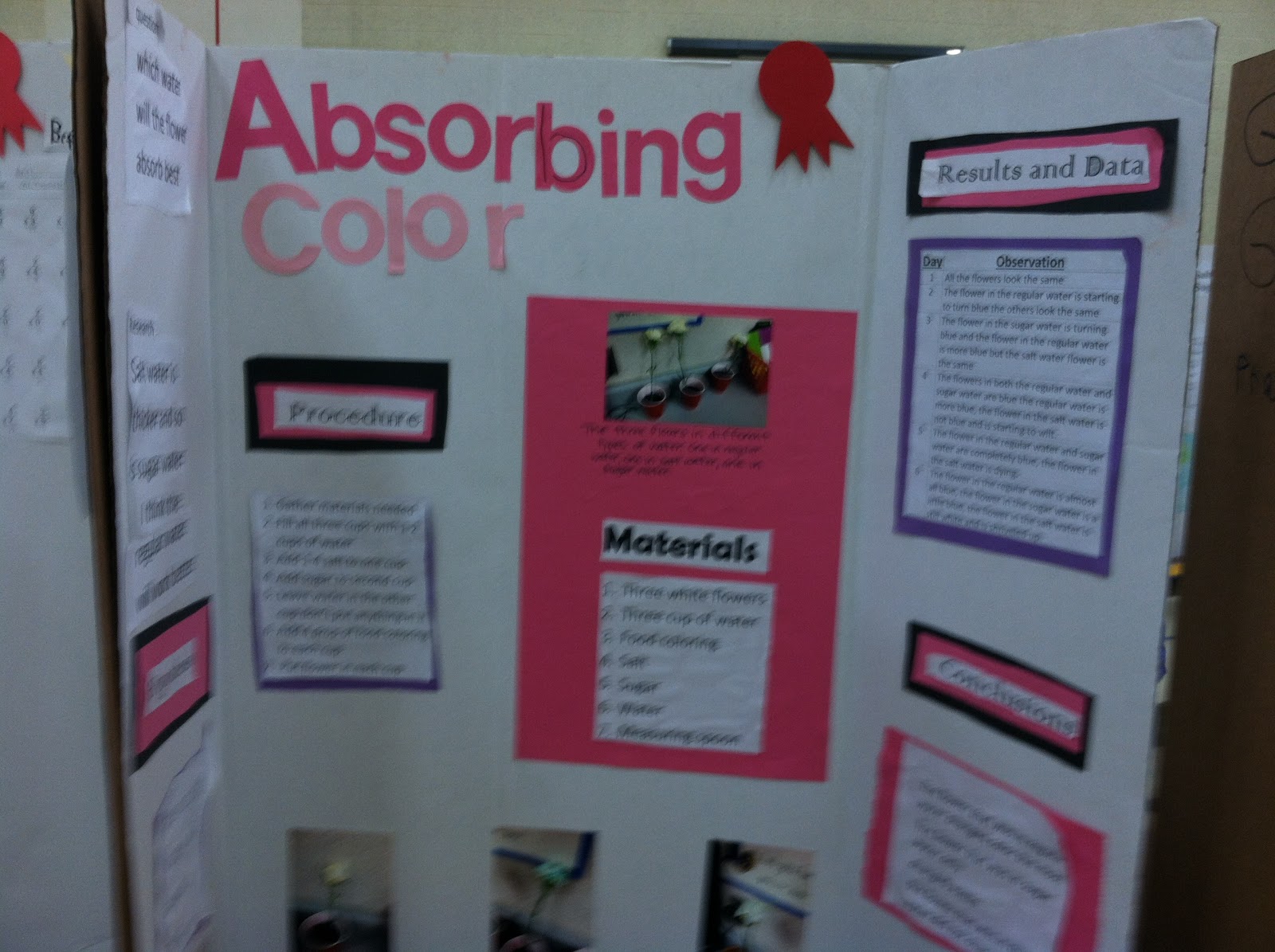 Science Fair Fun! - The Resourceful Room!