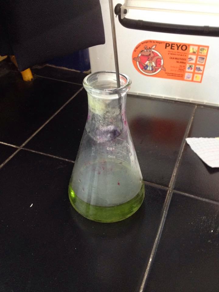 Química 1-2: Ácidos y Bases (Experimento)