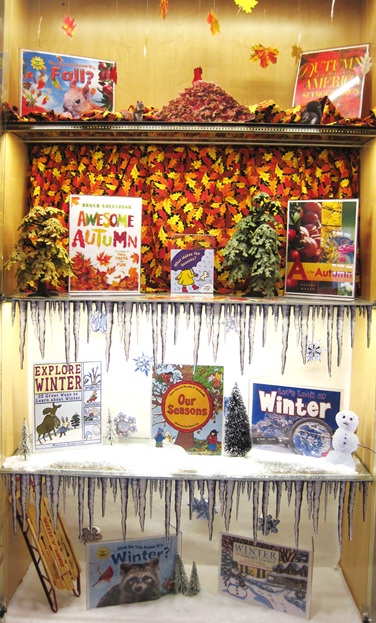 Library Displays Candy