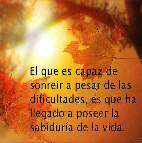 FILOSOFÍA: 1.2.- Concepto y significado de Sabiduría y Conocimiento...