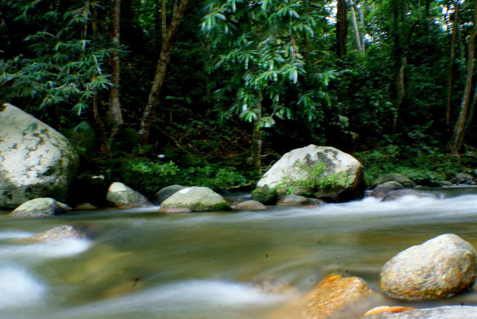 It's All About Me: Ulu Kenas Waterfall & Recreational Forest