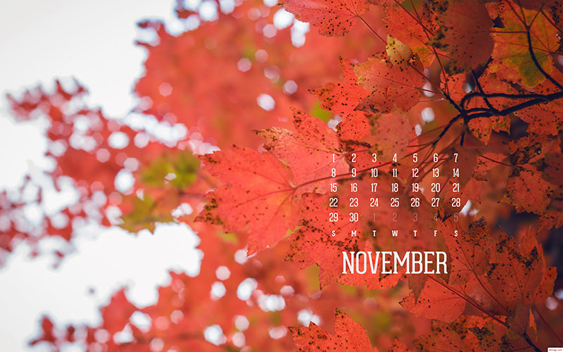 SCRAP & my favourite things: 3 fondos de pantalla de noviembre