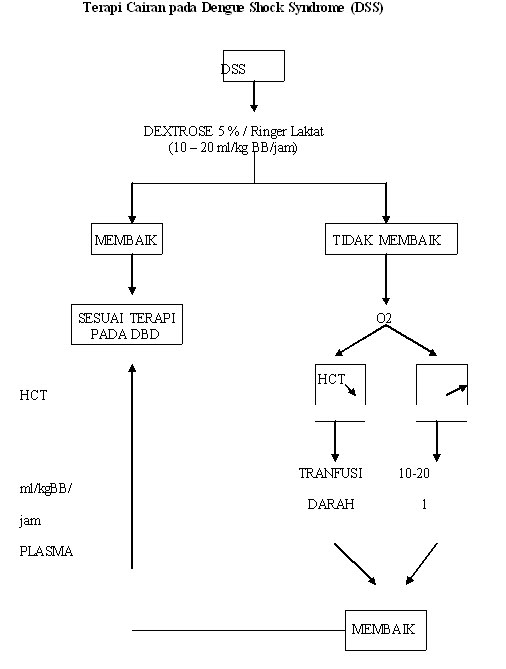 PENATALAKSANAAN DENGUE SHOCK SYNDROME (DSS) | Penatalaksanaan Medik