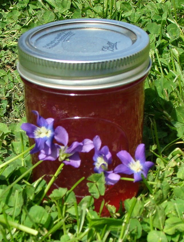 Red Mommy Crafts: Wild Violet Jelly