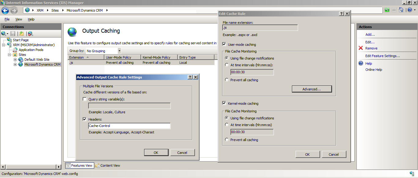 Preventing Caching Of Javascript Files In Iis7