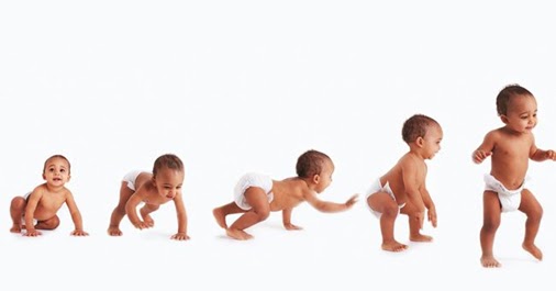 TEORÍA DE ROBERT SELMAN