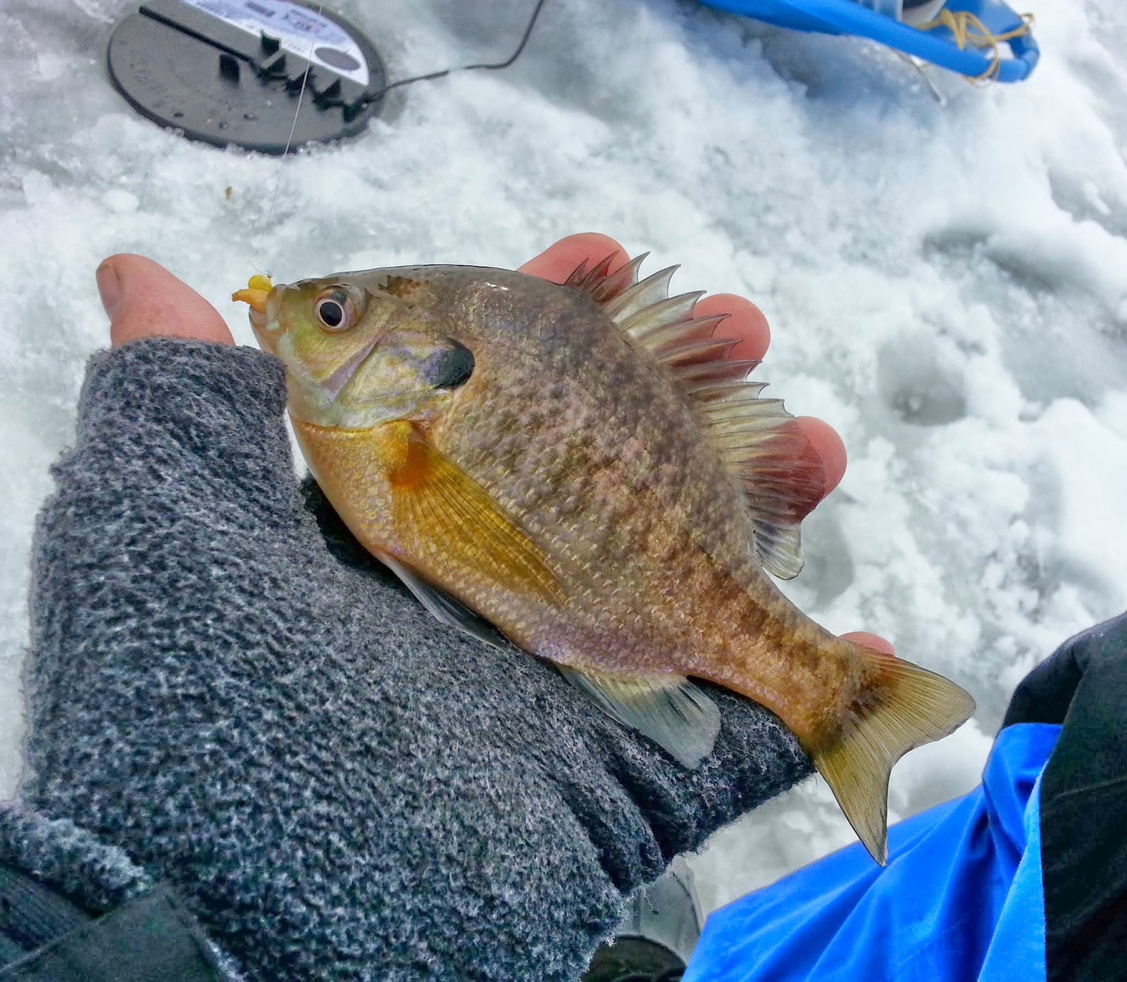Darkstar72's Fishing Blog: The Actual Last Day of Ice Fishing 2013