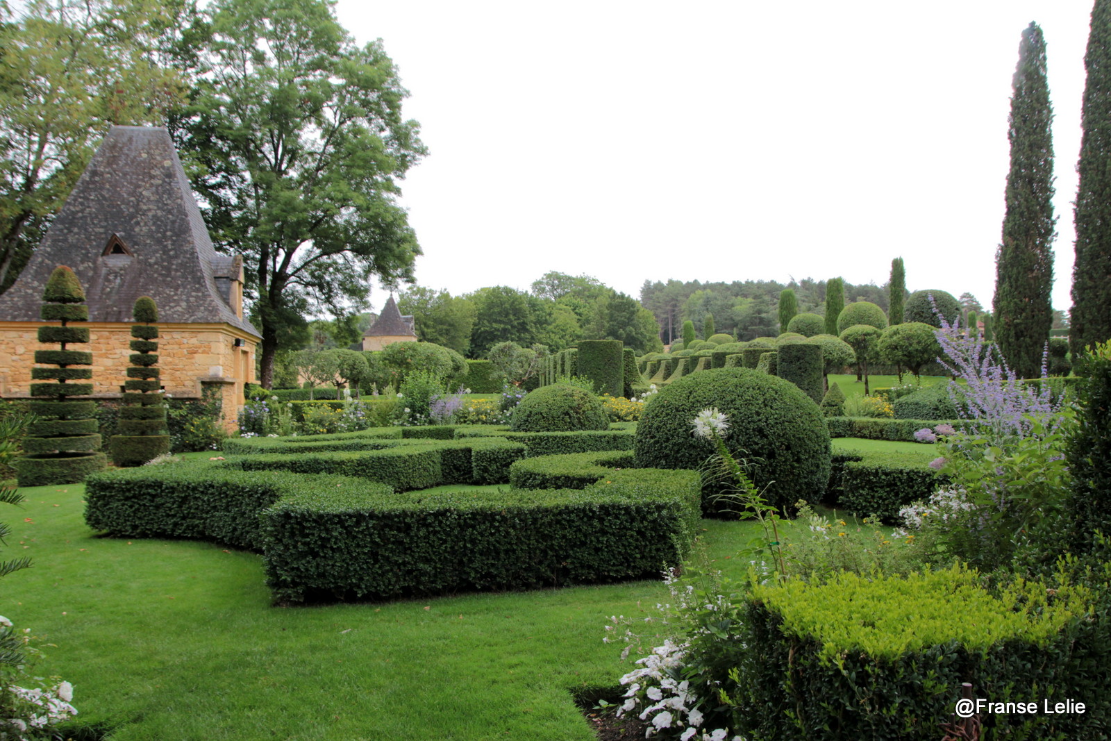 Franse Lelie: Wat een tuin!
