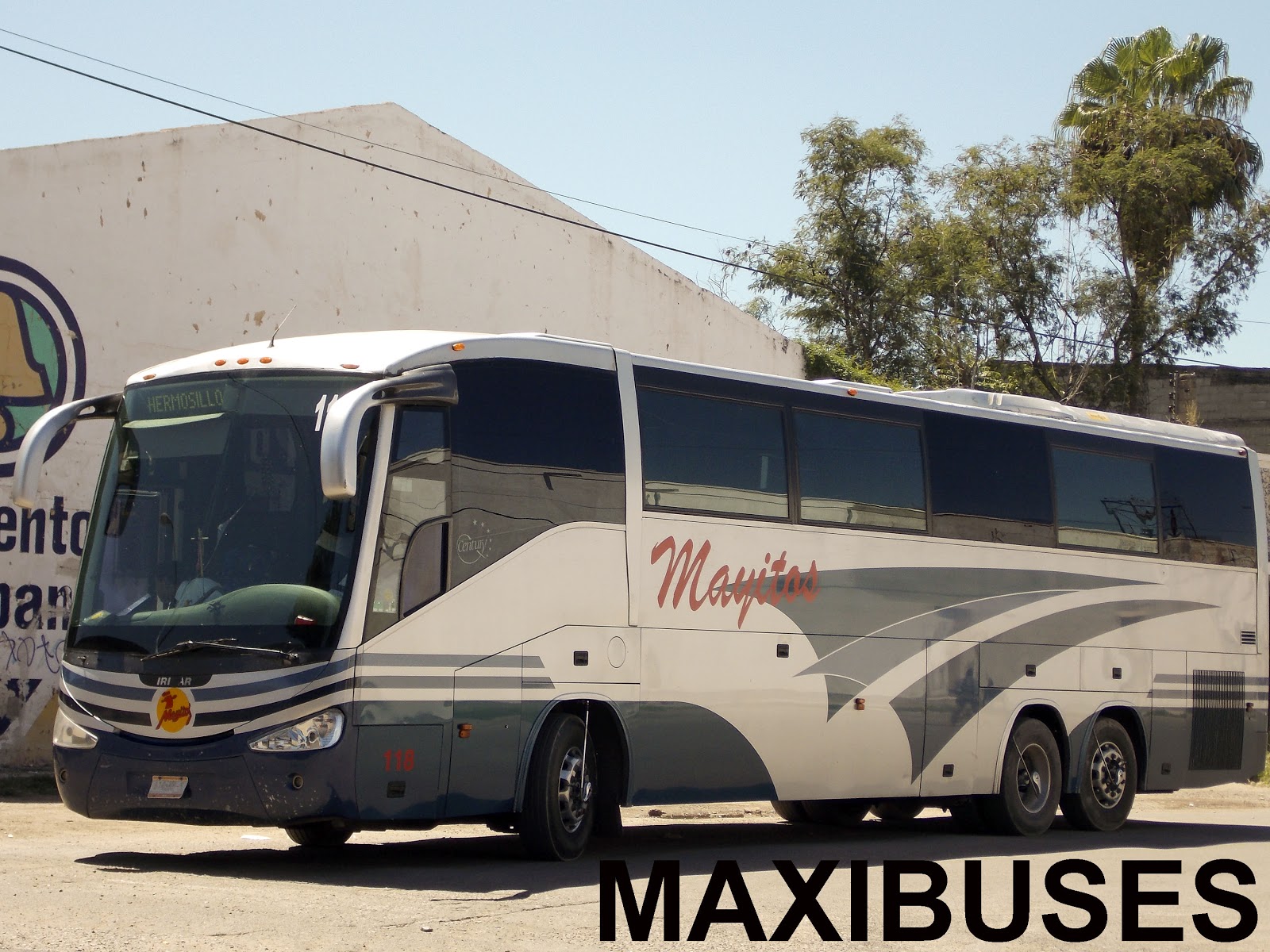 MAXIBUSES: AUTOBUSES LOS MAYITOS