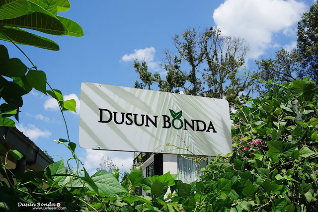 Glamping @ Dusun Bonda【华丽野营】亲近大自然，远离城市烦嚣！ - 乐飞翎 ♥ LUVFEELIN