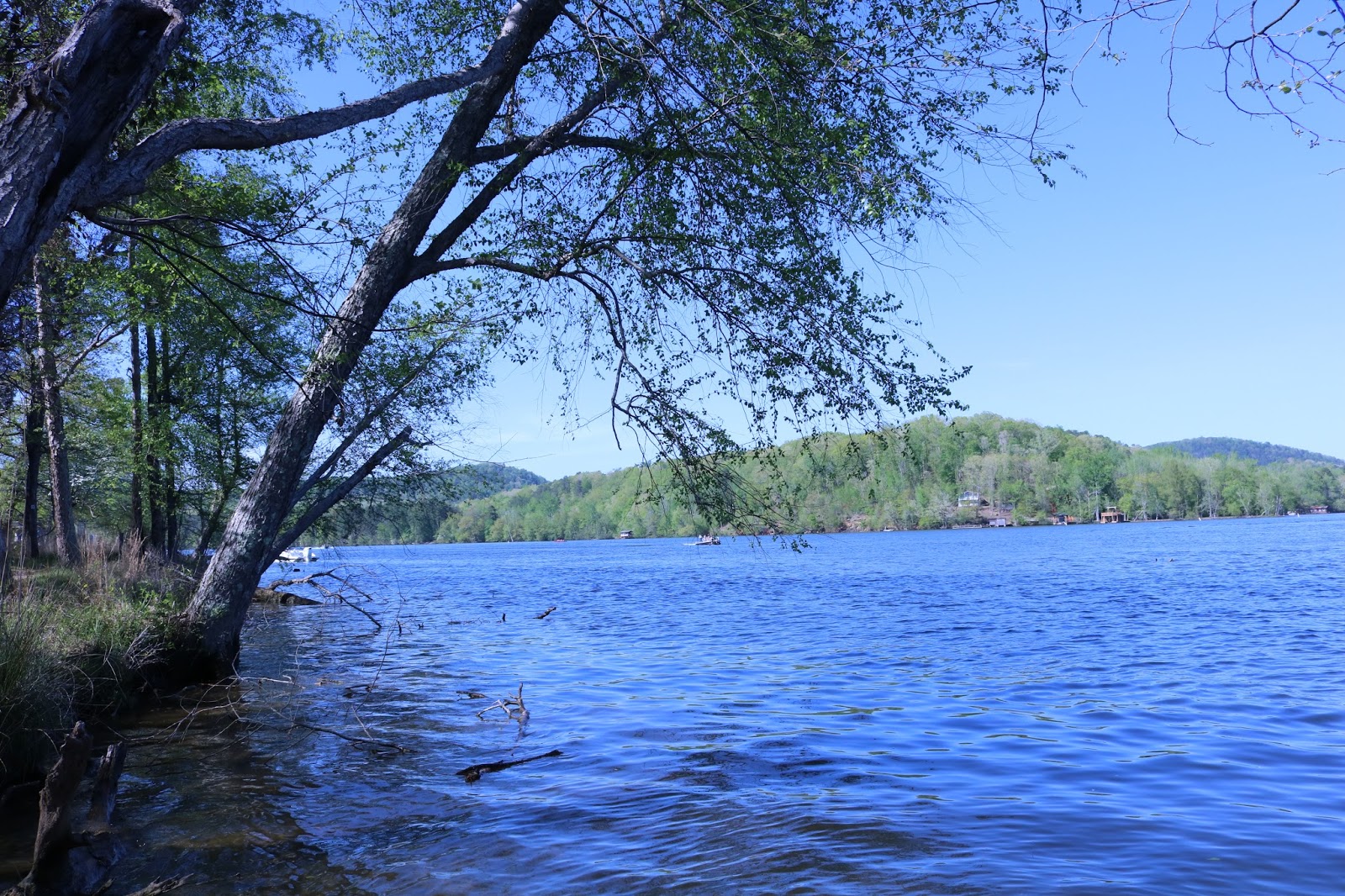 Kiki Nakita: Kelsie's 3rd Birthday at Lake Tillery and a Housewarming ...