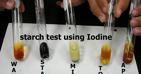 A Level Notes AQA: Biological Molecules: - Tests for Starch