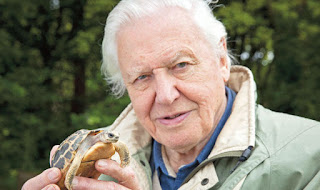 THE GRANDMA'S LOGBOOK ---: DAVID FREDERICK ATTENBOROUGH, THE VOICE OF ...