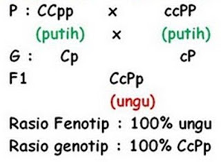 Perbedaan Pengertian Genotip dan Fenotif