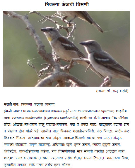 World Tourist Destinations: Bird information in marathi