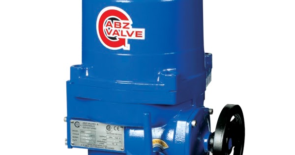 Special Application Challenges Call For High Performance Butterfly ...