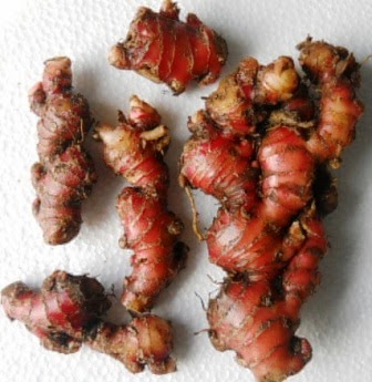 Manfaat dan Khasiat: Manfaat dan Khasiat Jahe Merah