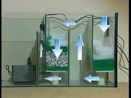 Hồ thủy sinh - Thiết kế hồ thủy sinh đẹp: 10 Bước thiết kế hồ thủy sinh ...