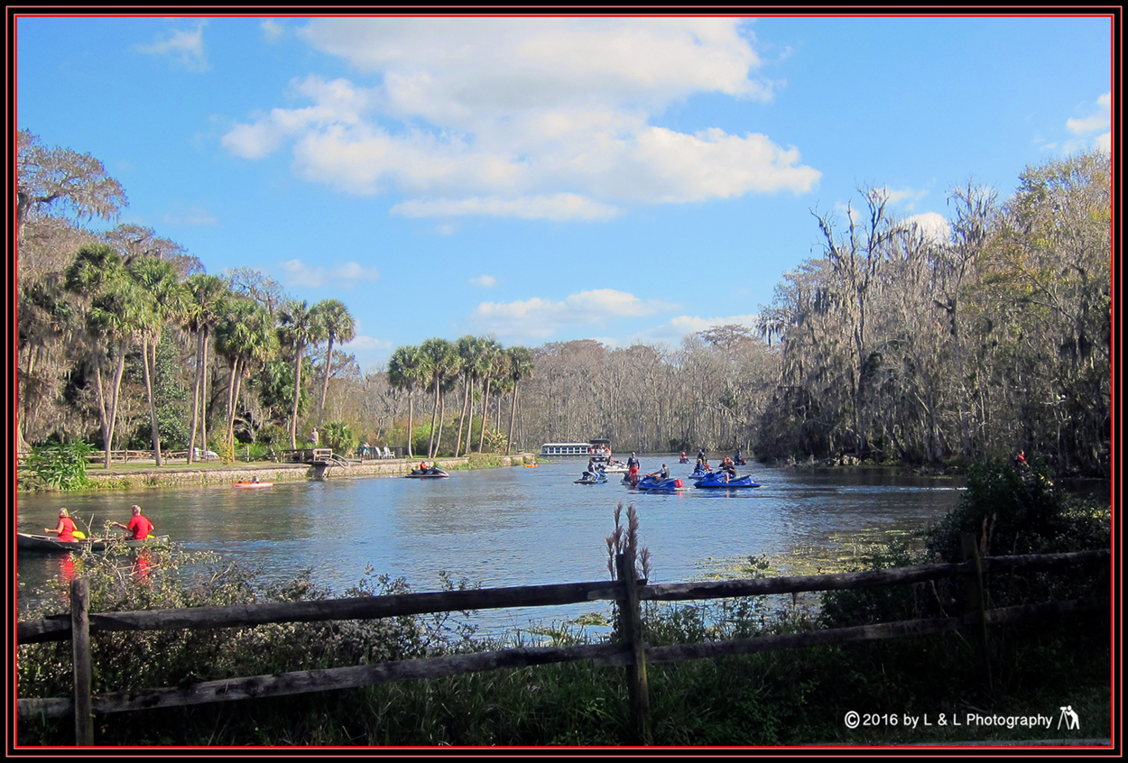 Ocala, Central Florida & Beyond: New Years' Day Fun on the Silver River