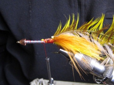 Fly Tying Videos: How to Tie Flies for Freshwater and Saltwater: How to ...