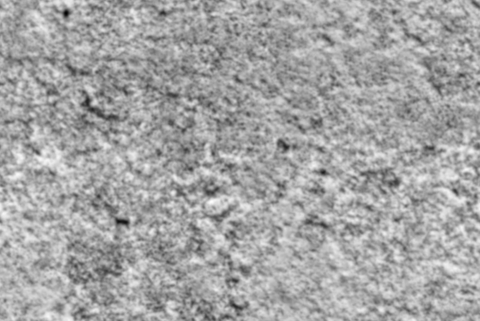 Tileable Plaster Stucco Wall + (Maps) | Texturise Free Seamless ...