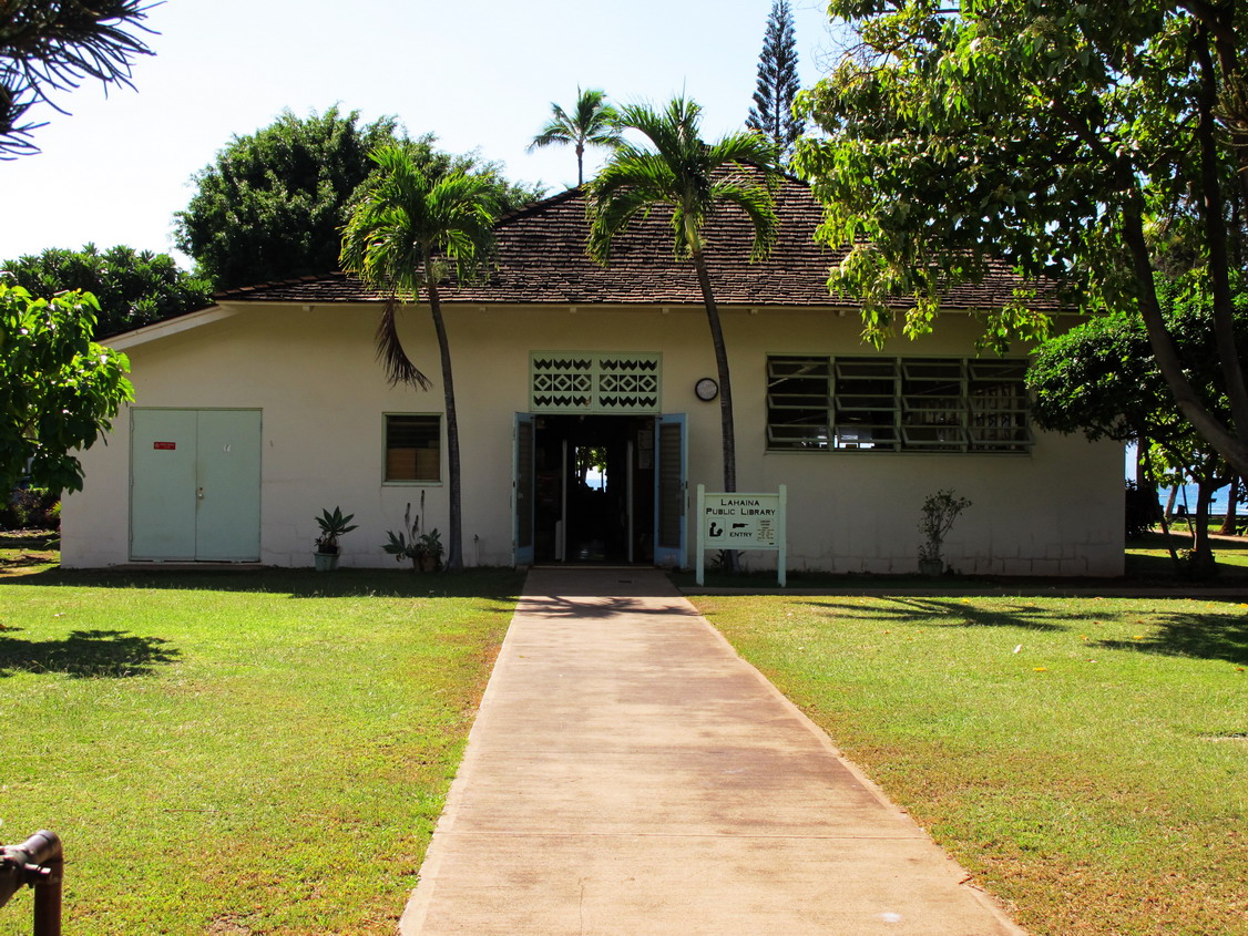 The 50th State - Life, Photos & Thoughts: Getting High on Maui ! Wowee!