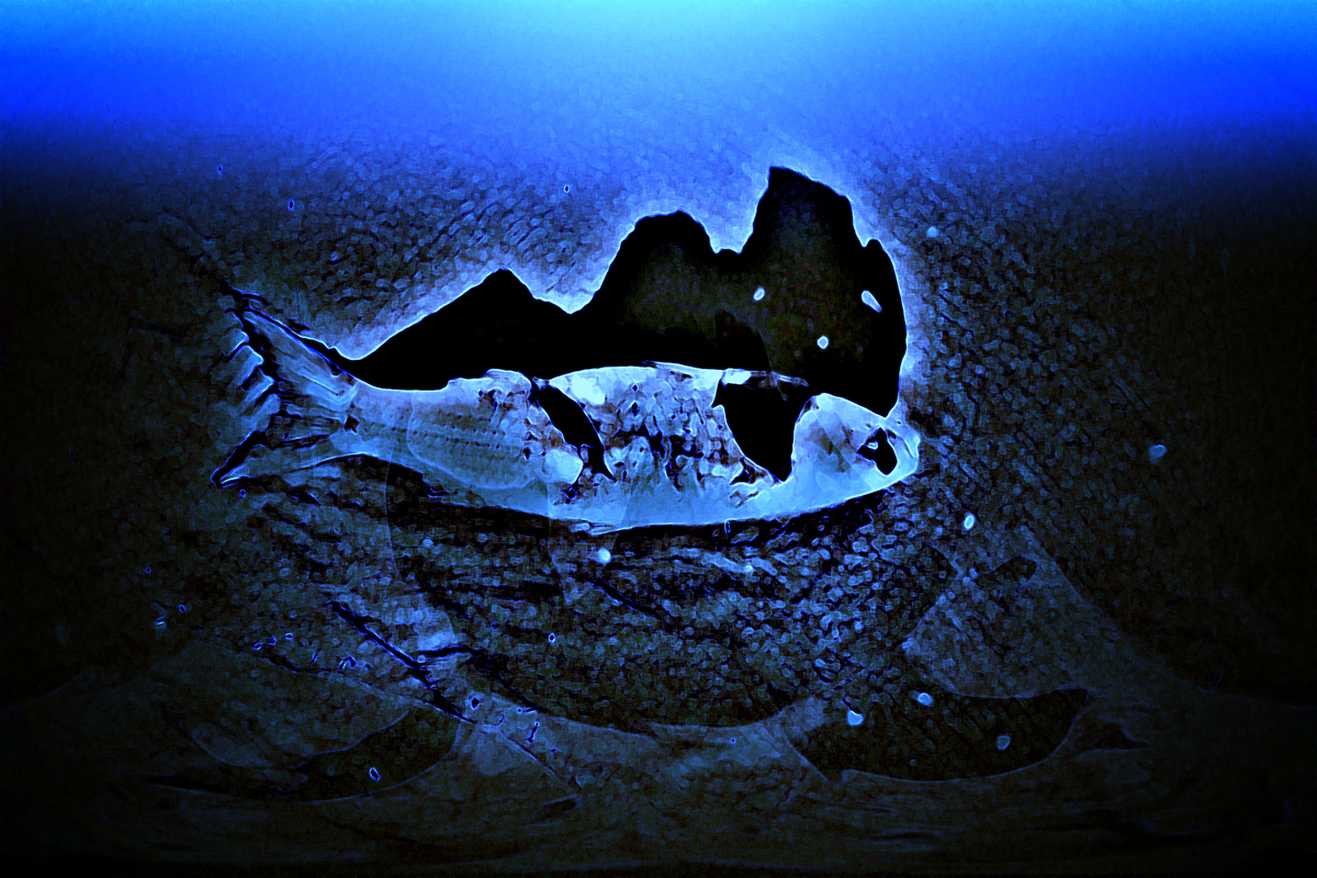 A ZOMBIE FISH for Halloween 2016 - Easy Mind Luistar's ArtBlog