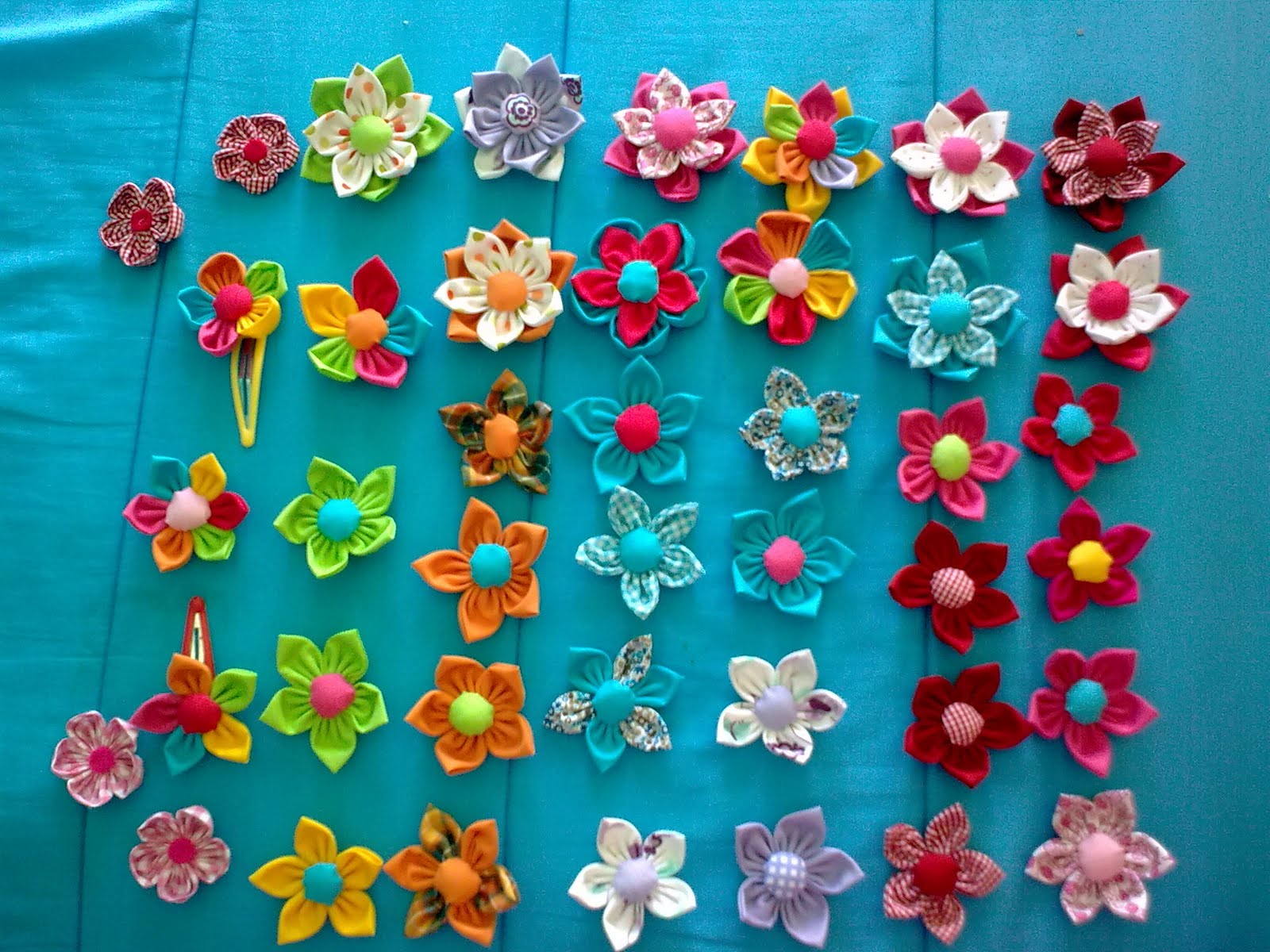 jardim de cores: Flores fuxico