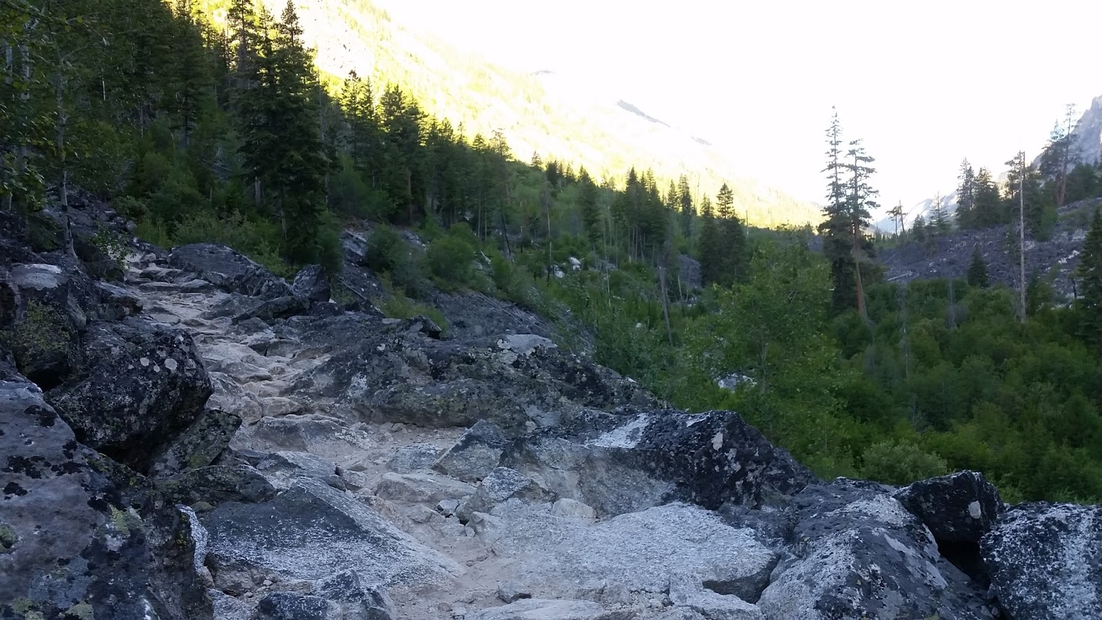 Montana Trail Runs - Bitterroot Mountains