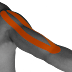 ARES Kinesiology Tape: Arestape Applications - Biceps
