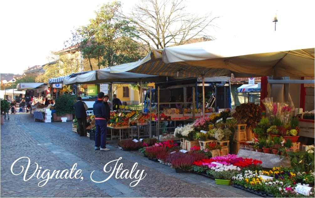 the piri-piri lexicon: Vignate, Italy {show me your neighbourhood}