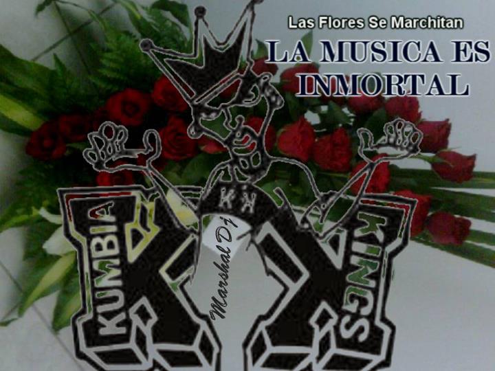 zǾпα Gαbbαпεlli: MIX KUMBIA KINGS