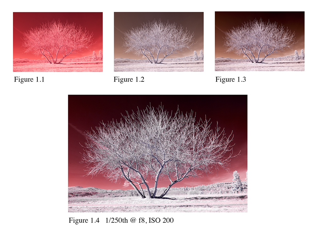 Infrared Photography - an Introduction - Mike Busby Photography
