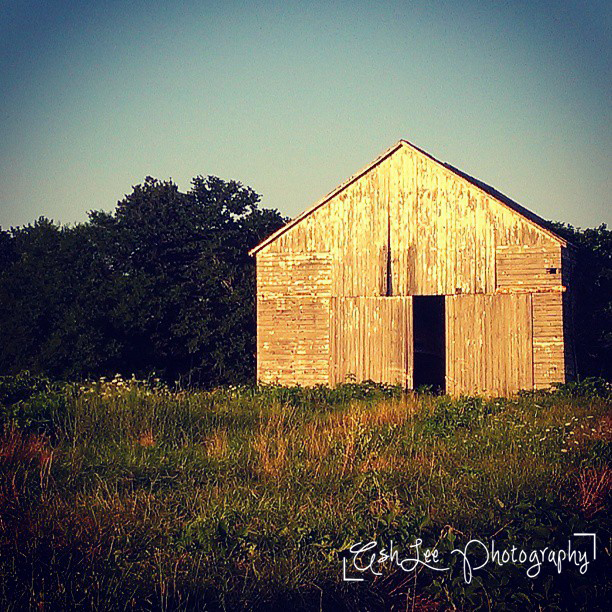 AshLee Photography: Barn Love