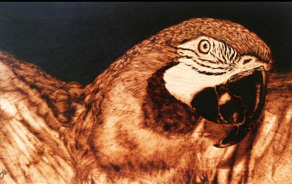 Simply Creative: Pyrography by Julie Bender