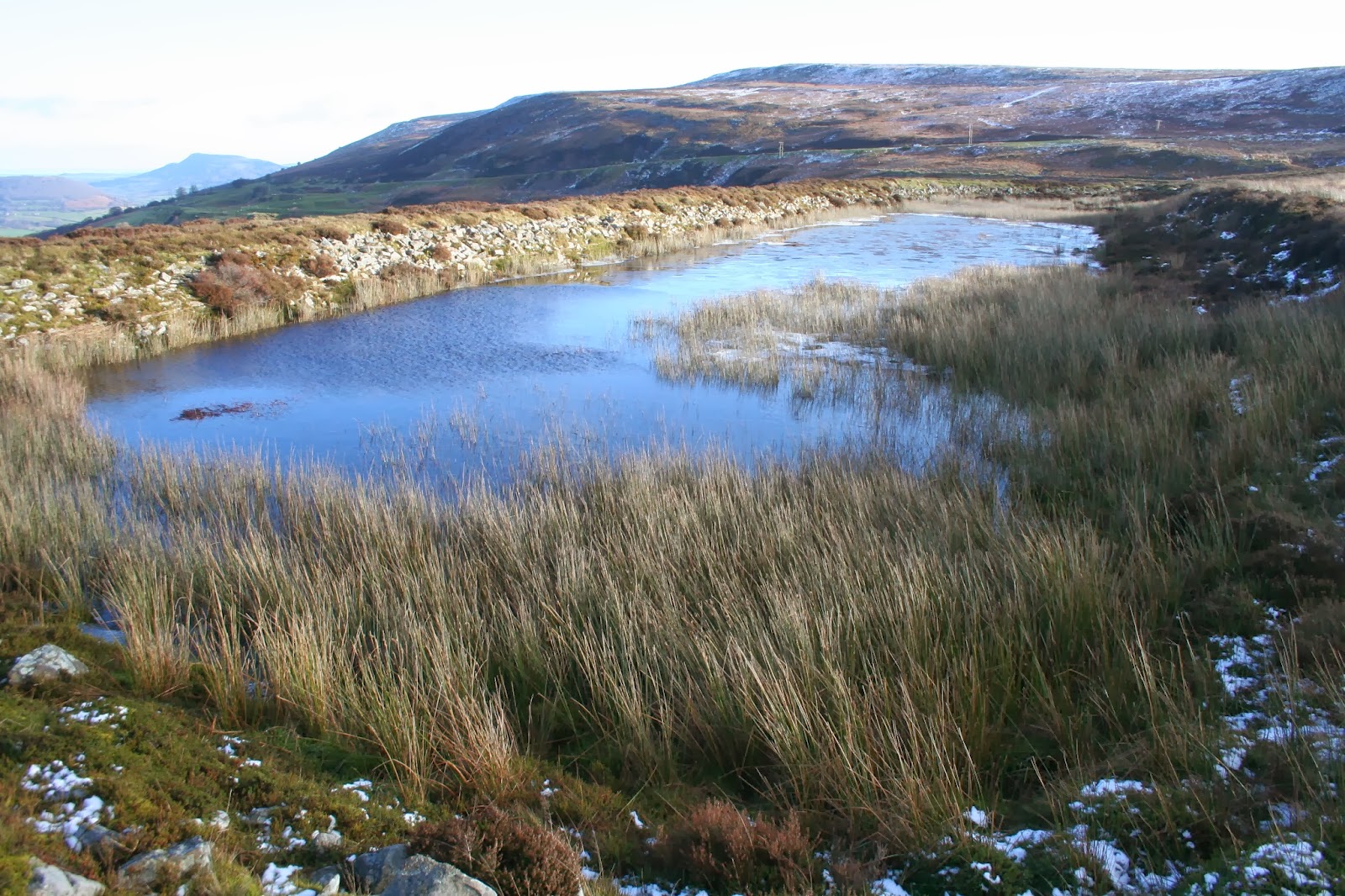 Valley Naturalist: Sustainable Peri-urban Drainage System (SPuDS)