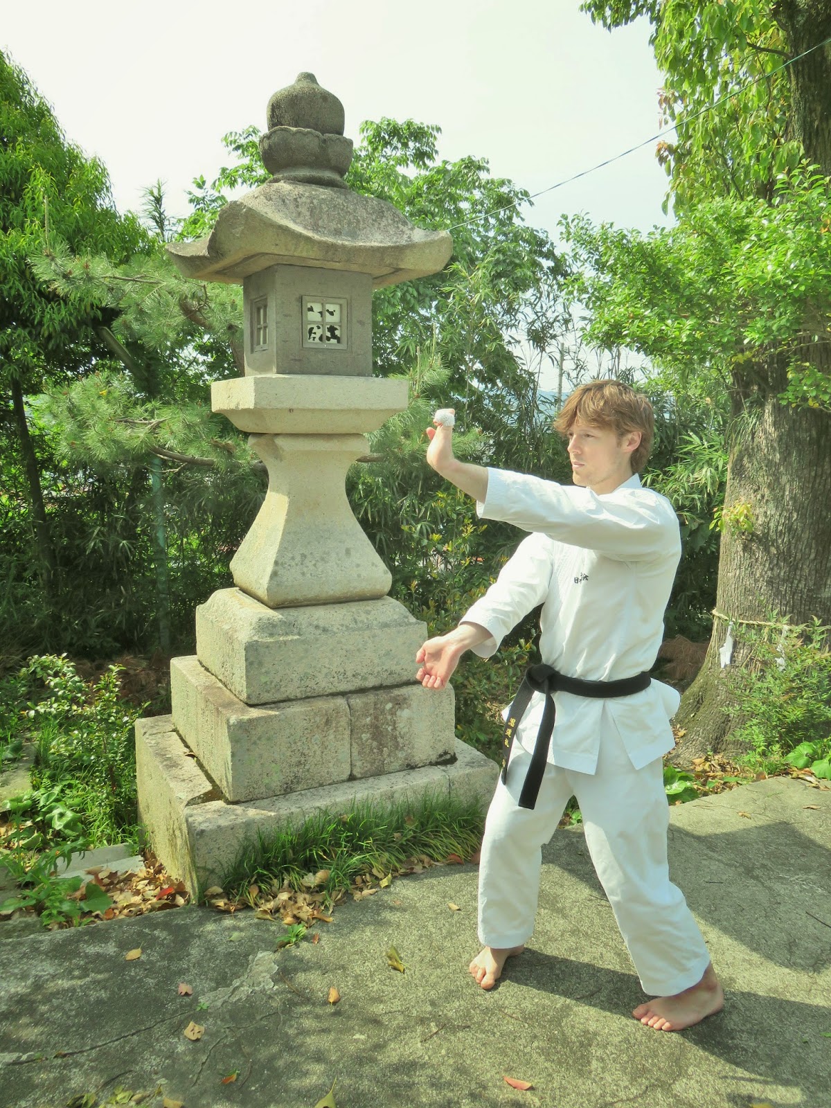 André Bertel's Karate-Do: Unsu Kata: A generic outline