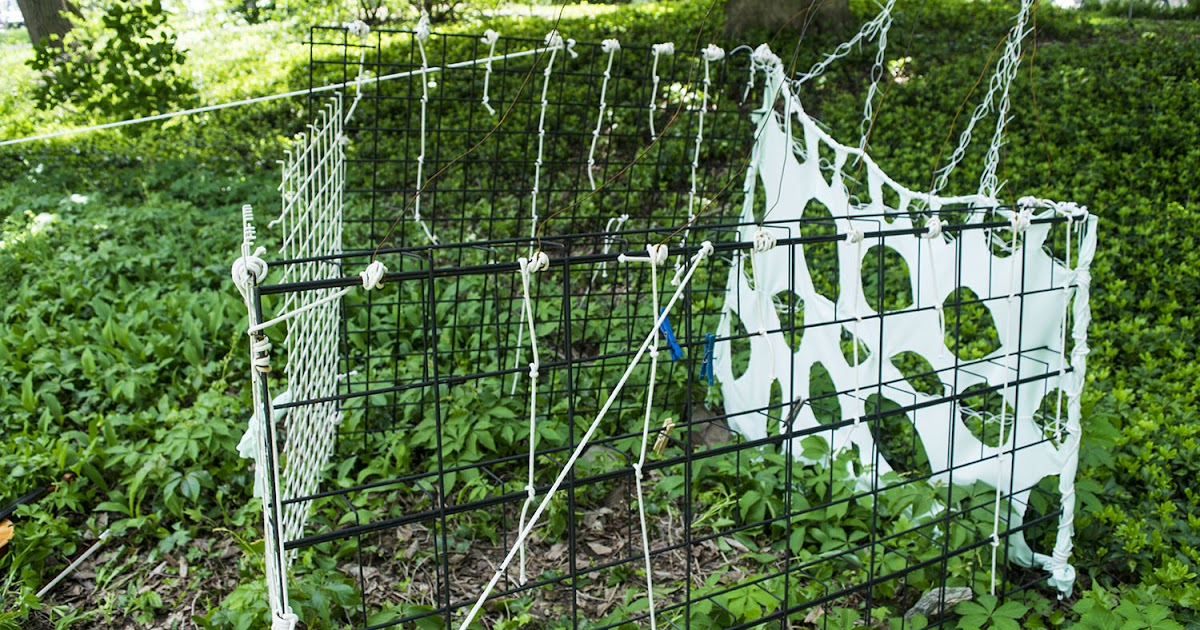 Advanced Sculpture: Brenna Smith