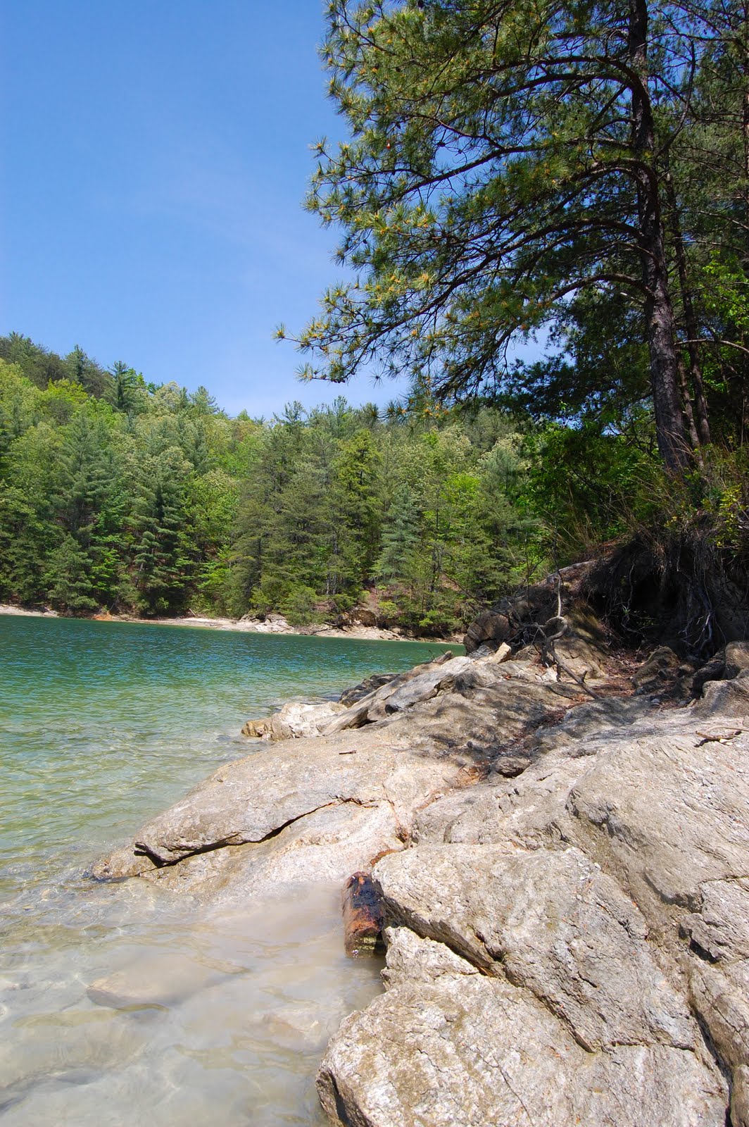 Jillian In Georgia: Devils Fork State Park
