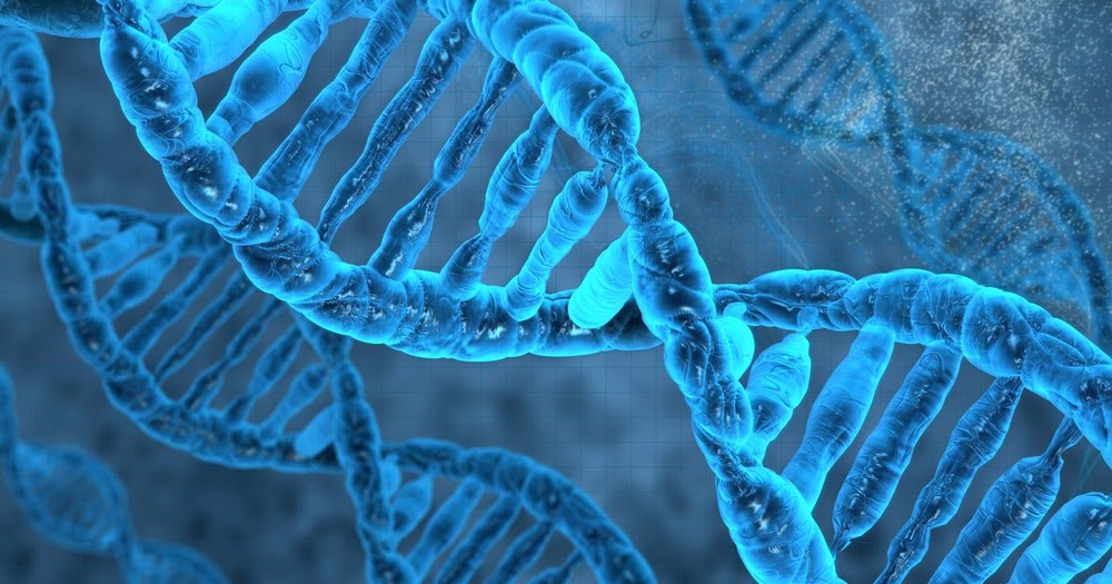 Como é feito o teste de DNA para determinar a paternidade?
